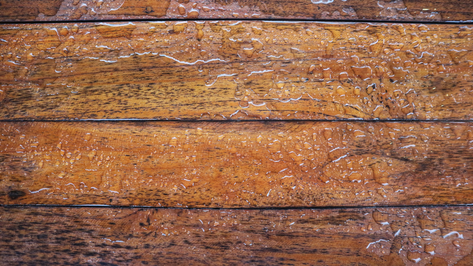 A Complete Guide to Understanding Moisture in Wood - decorcabinets.com