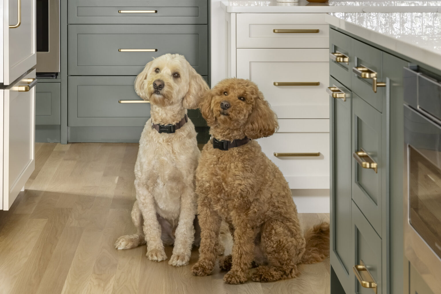 Pet Friendly Kitchen Ideas for a Safe and Happy Home